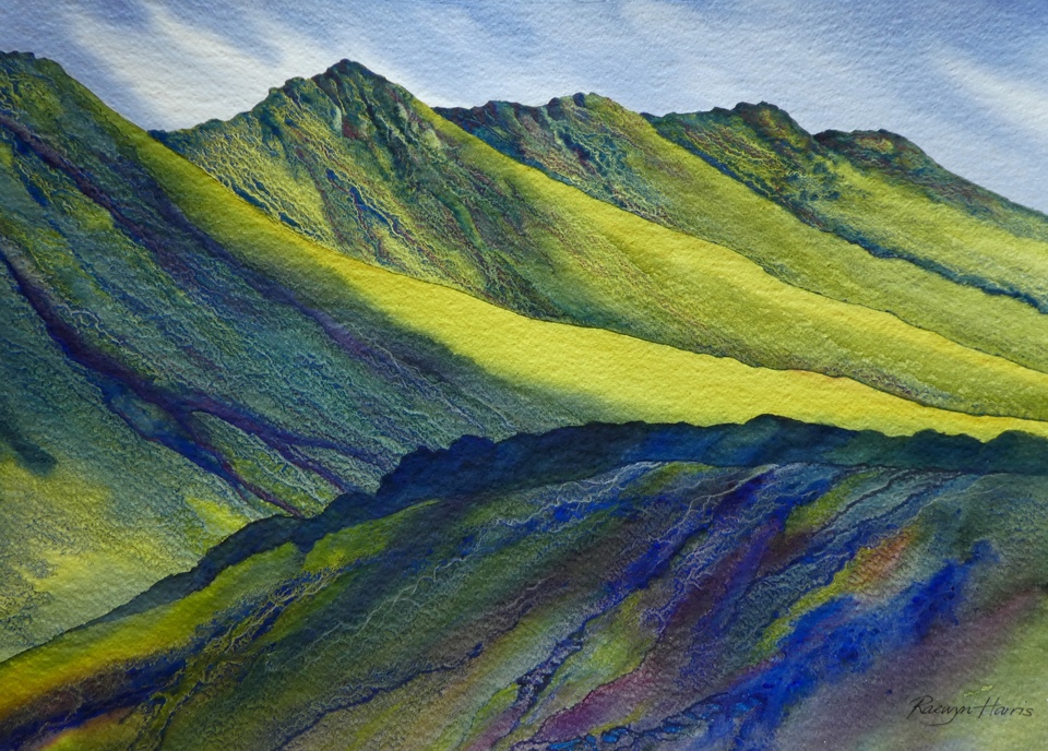 Paintings,inspiration,art,New Zealand,coastal scenes,koru, patterns in ...